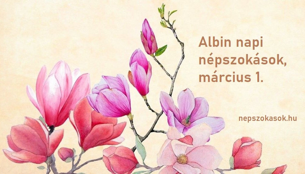 Albin napi népszokások, március 1. - Népszokások